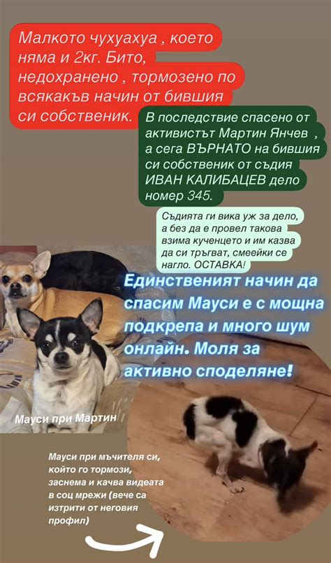 Aerobic Spirit By СВЕТЛАНА Aerobic Spirit By СВЕТЛАНА