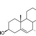 Transformation Of Dhea In The Culture Of Isaria Farinosa Strains