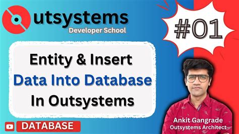 Outsystems Db Part Normal Entity And Insert Data Into Database A