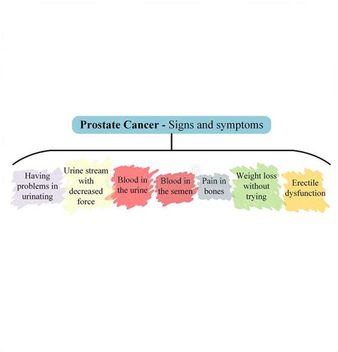 Prostate Cancer Symptoms Stock Illustrations 147 Prostate Cancer