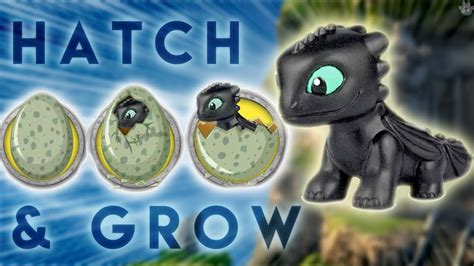 Hatching My Own Dragons How To Train Your Dragon Craze Dragon Egg
