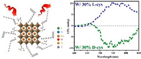Metal Halide Perovskite Nanocrystals For Near Infrared Circularly