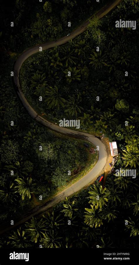 Vertical Birds Eye View Of The Road Passing Through The Dense Forest