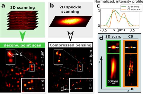 The “institut Universitaire De France” Supports “singular Microscopy” Sppin Cnrs Umr 8003