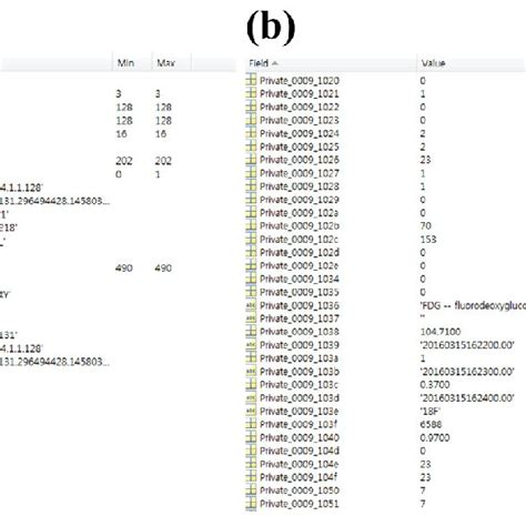 The Dicom Header Information Shown On Matlab Window A The Dicom