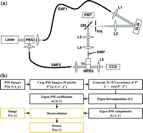 A Schematic Of The Experimental System B Simplified Flowchart For