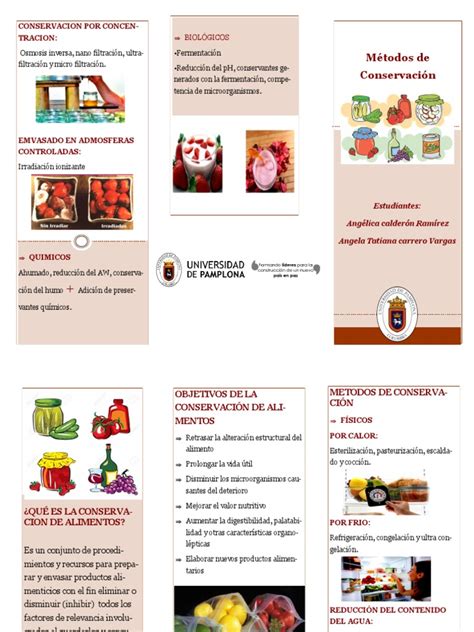 Métodos De Conservación De Alimentos Físicos Químicos Y Biológicos Pdf Esterilización