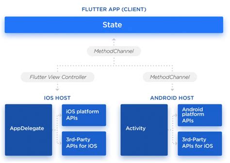 Flutter Apps Reasons Why They Are Popular Among Users