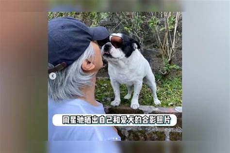 周星驰近照曝光！头发花白和狗狗玩亲亲，取名代号″凌凌玖″