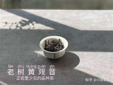 瑞香春兰金牡丹这么多新品种岩茶为何顶流是黄观音 知乎