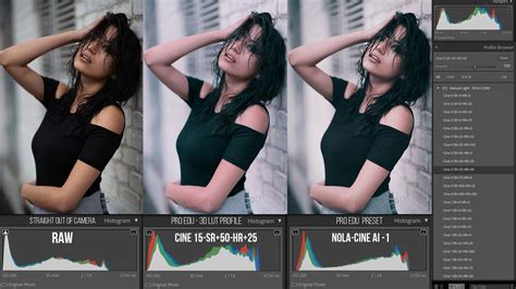 3d Lut Profiles And Color Grading Presets Nola Natural Light