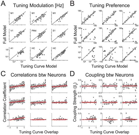 Functional Connectivity And Tuning Curves In Populations Of Simultaneously Recorded Neurons Pmc