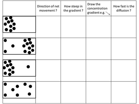 Diffusion Activities By Gemmabutton Teaching Resources Tes