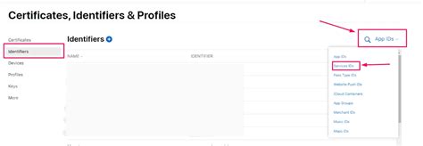 Apple Connect Apple SSO Apple Social Login Register WordPress