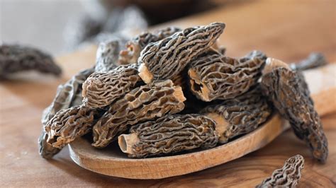 Seriously How Are You Meant To Clean Morel Mushrooms