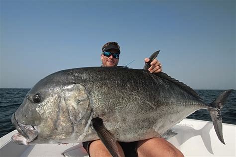 Big Fishes of the World: GIANT TREVALLY page 2