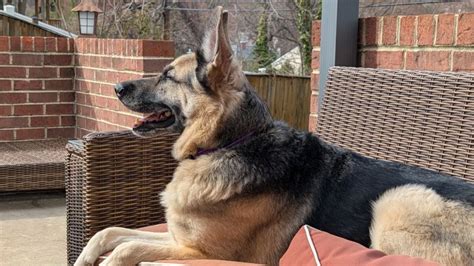 I Spent My Time Debugging My V0dev App On The Patio Yesterday Its