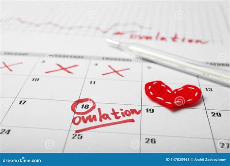 Fertile Days For Conceive And Pregnancy In Calendar Infertility Cycle