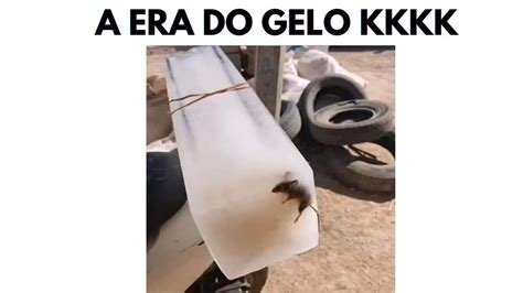 Os Melhores Memes Em Imagens Divertidos A Era Do Gelo Kkkk Youtube