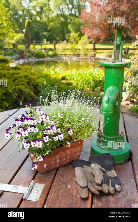 Green Water Pump With Flowers In A Sunny Garden With Artificial Pond Focus On The Pansy