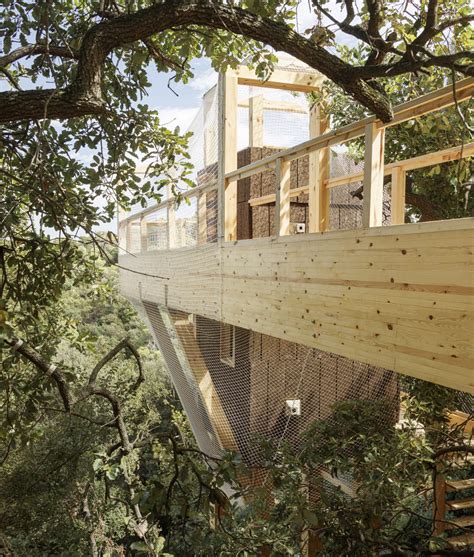 Flora Is A Mass Timber Research Pavilion In Barcelona S Forest Canopy 【autocad Design Pro
