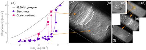 Looped Macrostep Mediated Self Purification Of Tetragonal Lysozyme