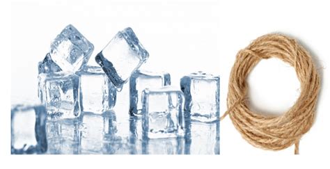 Science Lab Section Science Lab Project