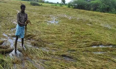 Centre Gives Nod For Release Of Rs 280 Crore For Andhra Pradesh