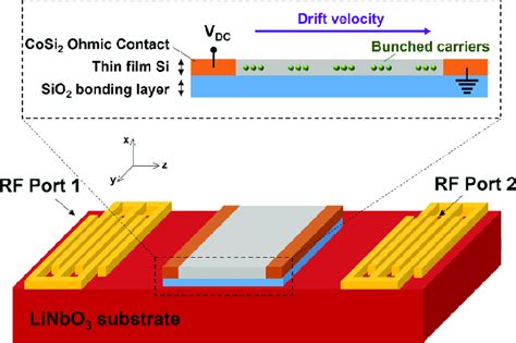 Schematic Cross Section Not To Scale Of Acoustic Wave Amplifier With