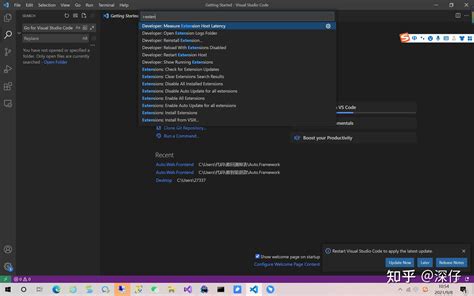 如何在Visual Studio Code中配置GO开发环境 知乎