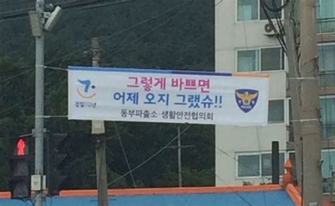 전설의 충청도 유머가 진짜 현수막으로 실현됐다 오펀 디스커스