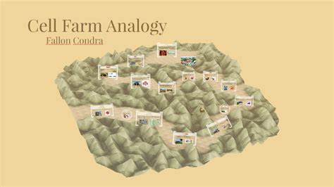 Cell Farm Analogy