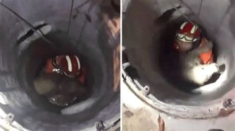HÉROES Oyeron ruidos extraños en la alcantarilla y lo que encontraron les robó el corazón