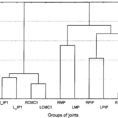 Tree Diagram Of Clustering Of St Finger Joints And Rows Of To Download Scientific Diagram