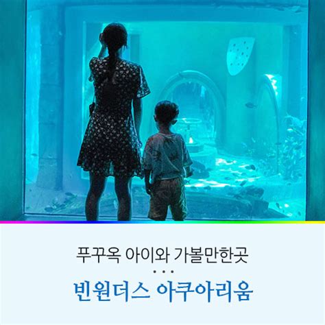 푸꾸옥 빈원더스 아쿠아리움 딥씨카페테리아 식당 후기 및 꿀팁 네이버 블로그
