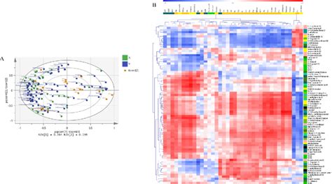 A Bidirectional Orthogonal Partial Least Squares O2pls Overview Download Scientific Diagram