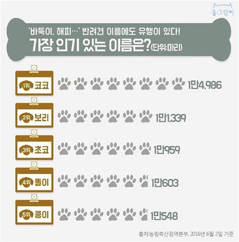 강아지이름추천 2탄 강아지고양이 이름짓기의 모든것 네이버 블로그