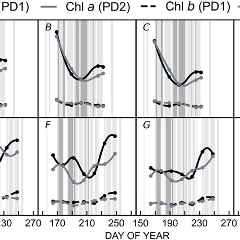 The Extracted Leaf Chlorophyll A And B Content [µg Cm 2 ] Average N Download Scientific