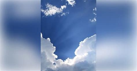 James S Wylie Obituary 2023 Spring Hill Fl Brewer And Sons