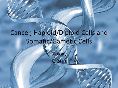 Cancer Haploid Diploid Cells And Somatic Gametic Cells Ppt Download