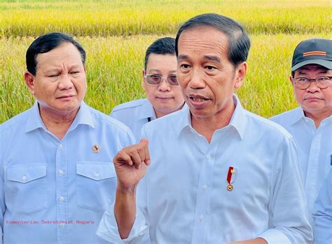 Presiden Minta Badan Pangan Nasional Hitung Harga Gabah Kering Petani