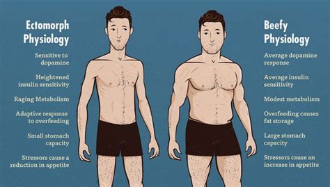 The Skinny On How To Eat More As An Ectomorph Building Muscle Despite