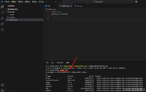 【菜鸟飞】Conda安装部署与vscode的结合使用_vscode conda-CSDN博客
