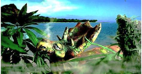 New Dinosaur Discovery Imgur