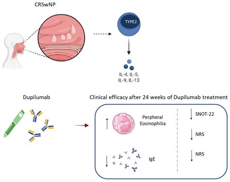 Targeting Il 4 And Il 13 Receptors On Eosinophils In Crswnp Patients