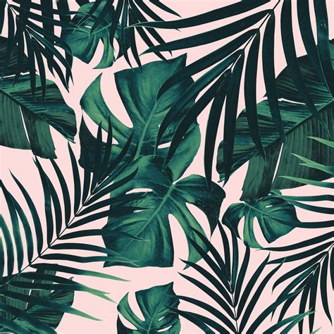 Jungle Leaf Wallpaper Background