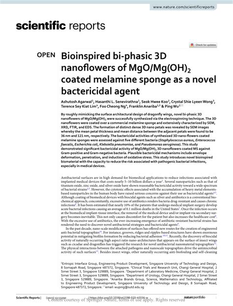 Pdf Bioinspired Bi Phasic 3d Nanoflowers Of Mgomgoh2 Coated Melamine Sponge As A Novel