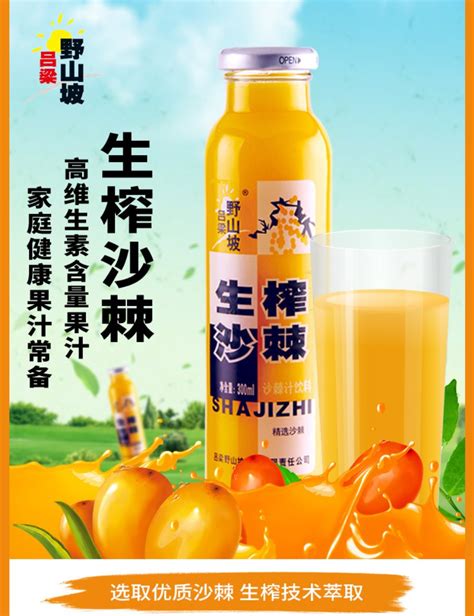 沙棘复合果汁饮料 完达山复合果汁饮料 第8页 大山谷图库