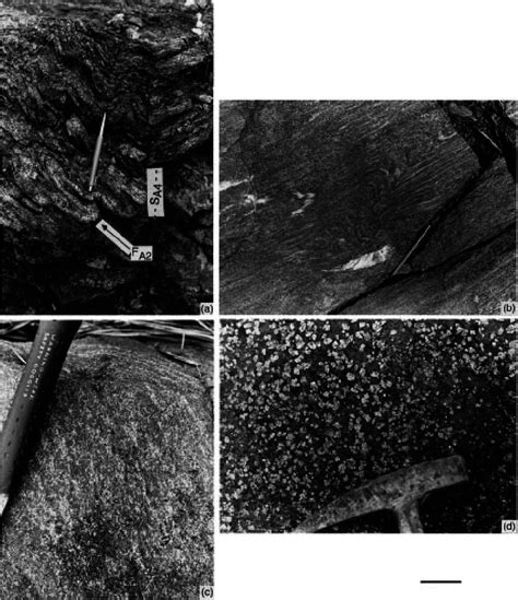 A F A2 F A4 Fold Interference Pattern In The Download