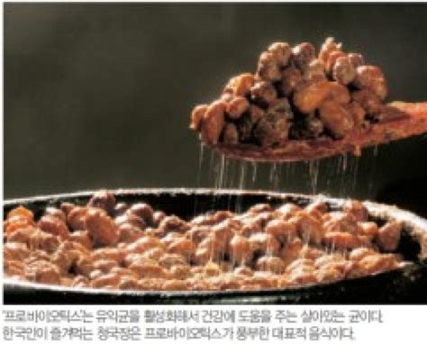중앙시사매거진